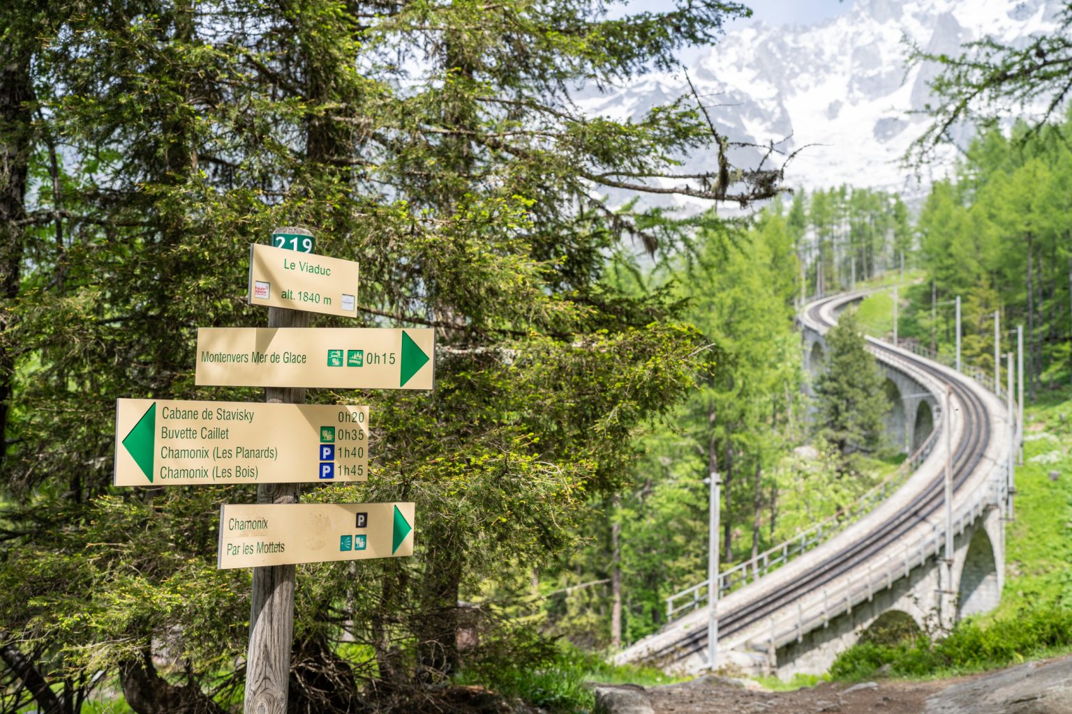 Hiking and walks - Train du Montenvers